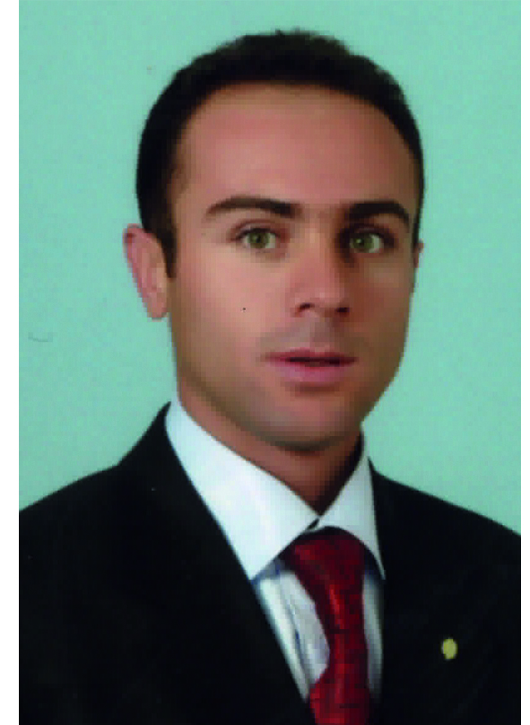 Organizasyon Şeması | Tapu ve Kadastro Genel Müdürlüğü (TKGM)